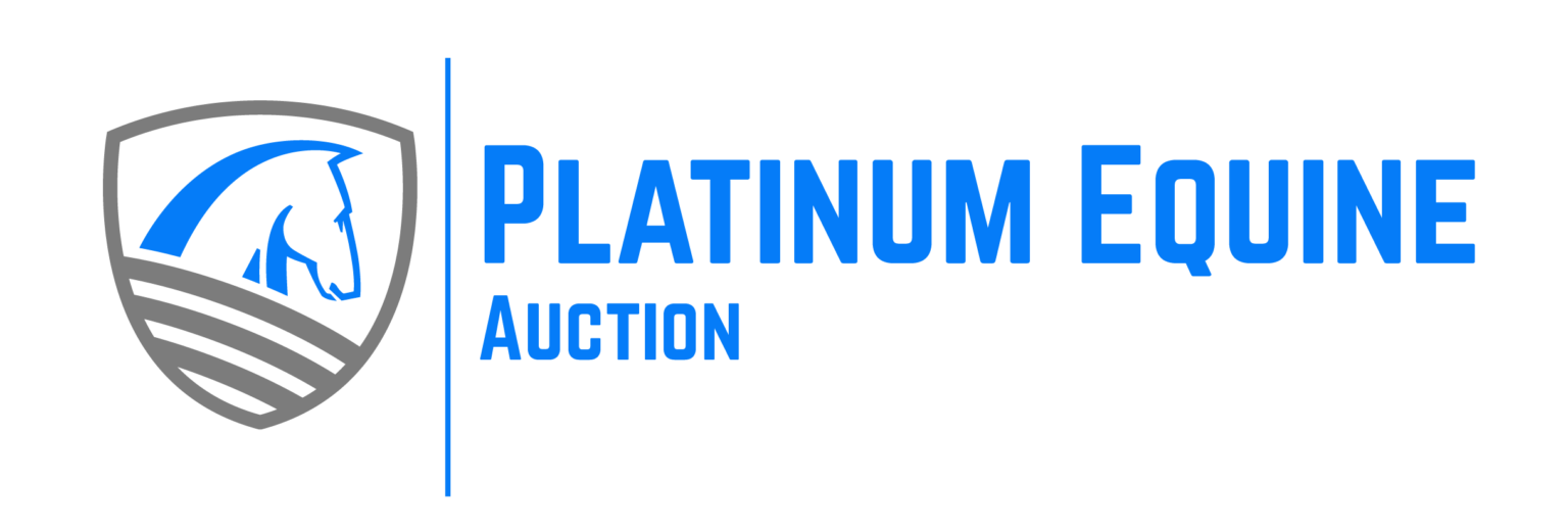 Live Auctions - Platinum Equine Auction