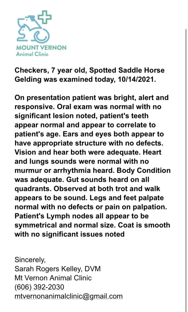 Checkers - Platinum Equine Auction