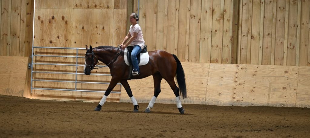 Crystal - Platinum Equine Auction