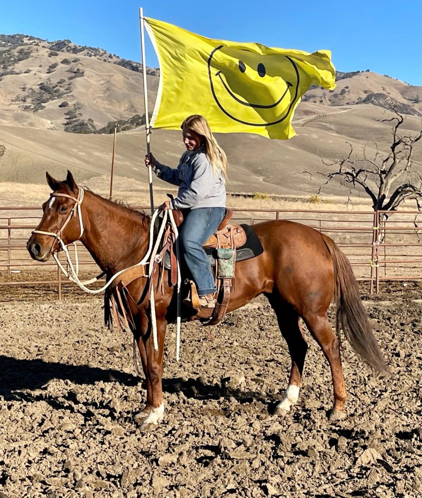 Sun Dun Pepita - Platinum Equine Auction