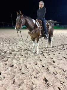 Leo - Platinum Equine Auction