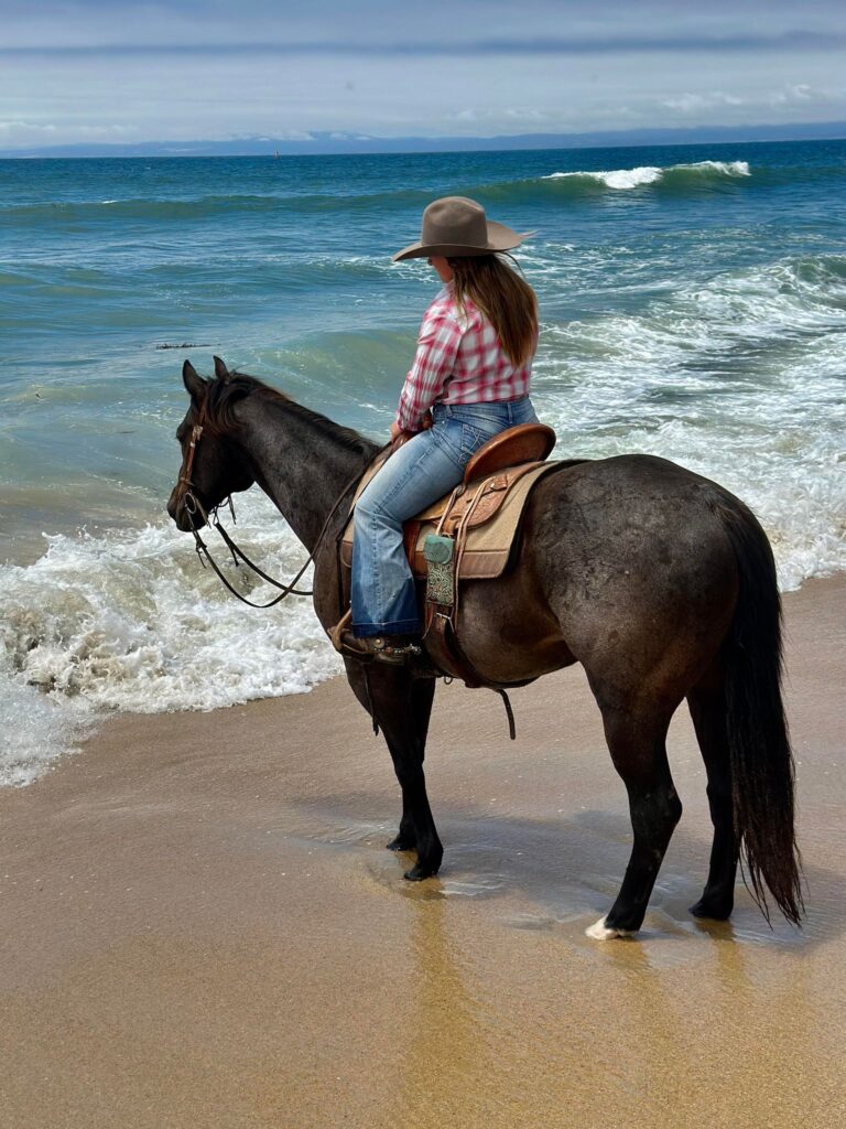Bluetooth - Platinum Equine Auction