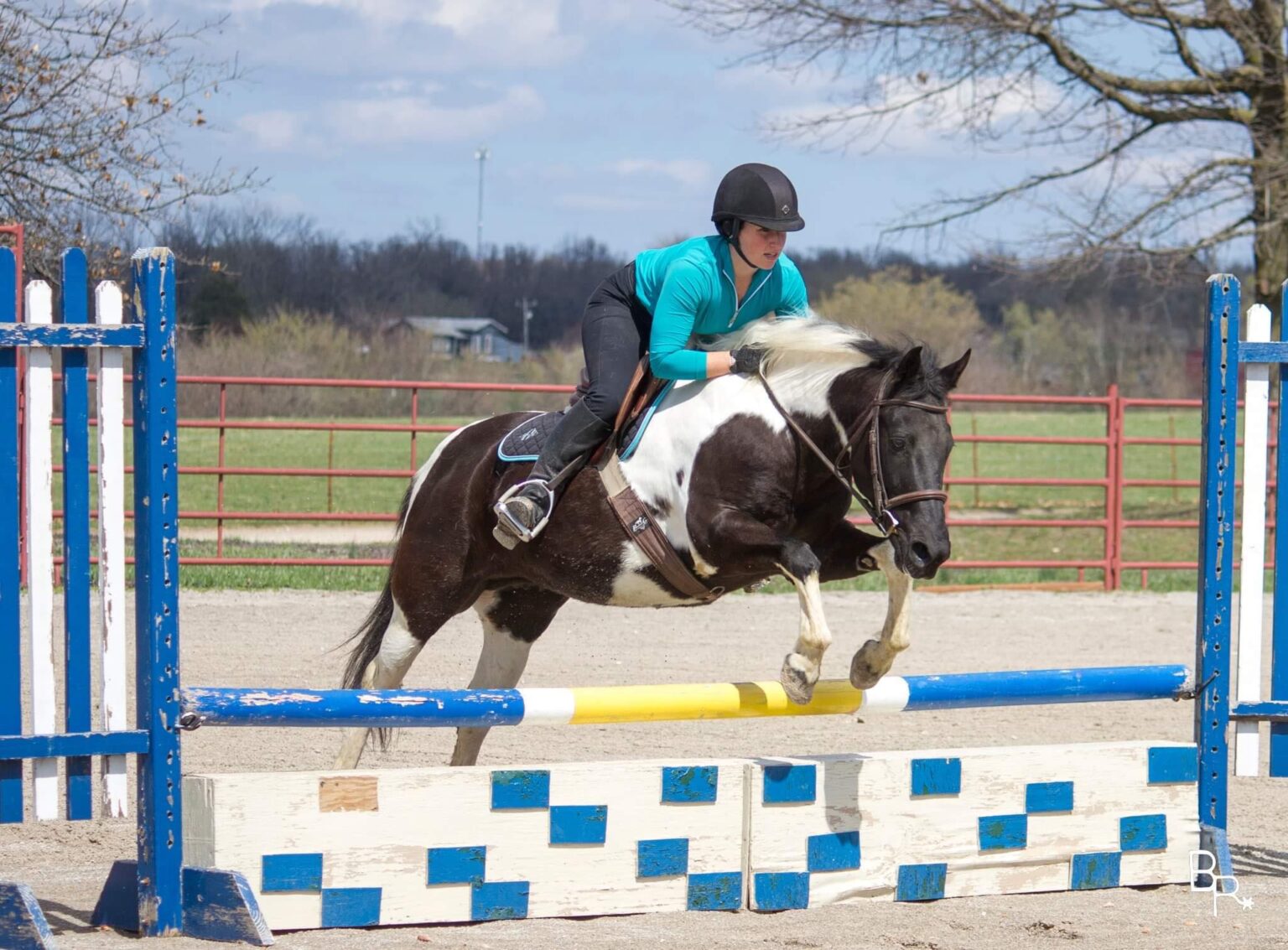 Expired Auctions - Platinum Equine Auction