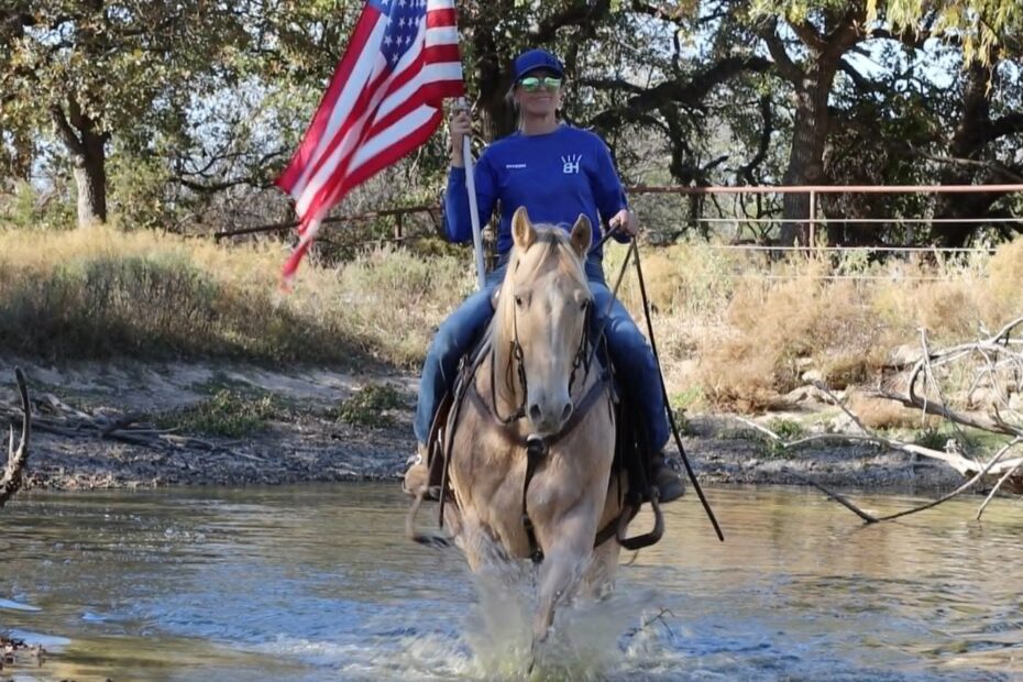 Budge - Platinum Equine Auction