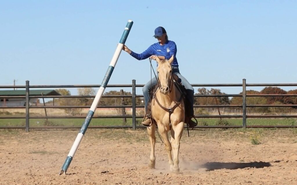 Budge - Platinum Equine Auction