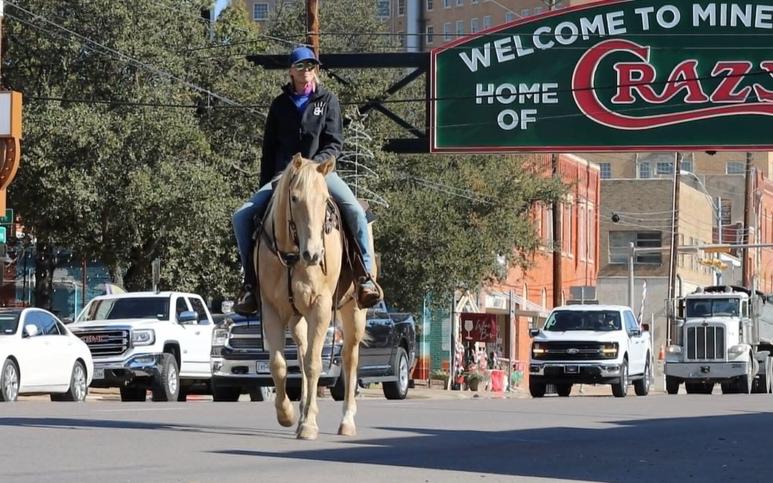 Budge - Platinum Equine Auction