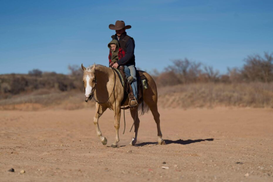 A Whiskey Bootlegger - Platinum Equine Auction