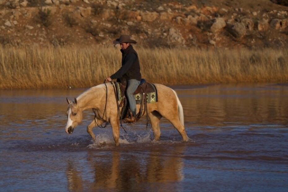 A Whiskey Bootlegger - Platinum Equine Auction