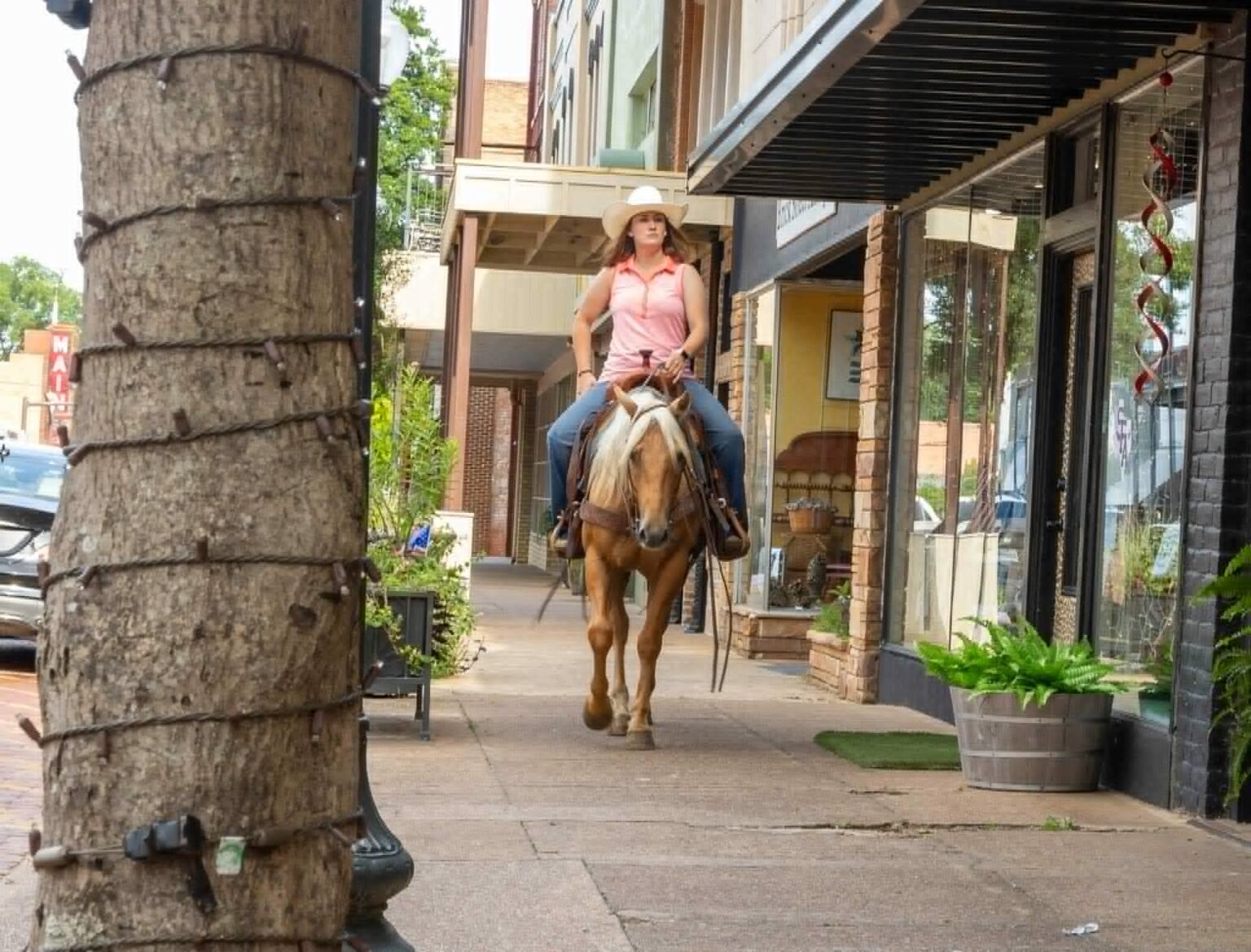 ASM Moon Rocket - Platinum Equine Auction