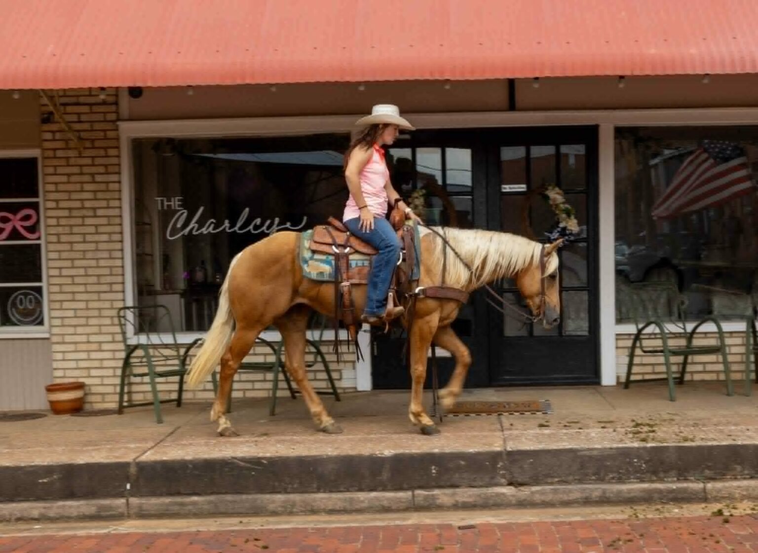 ASM Moon Rocket - Platinum Equine Auction