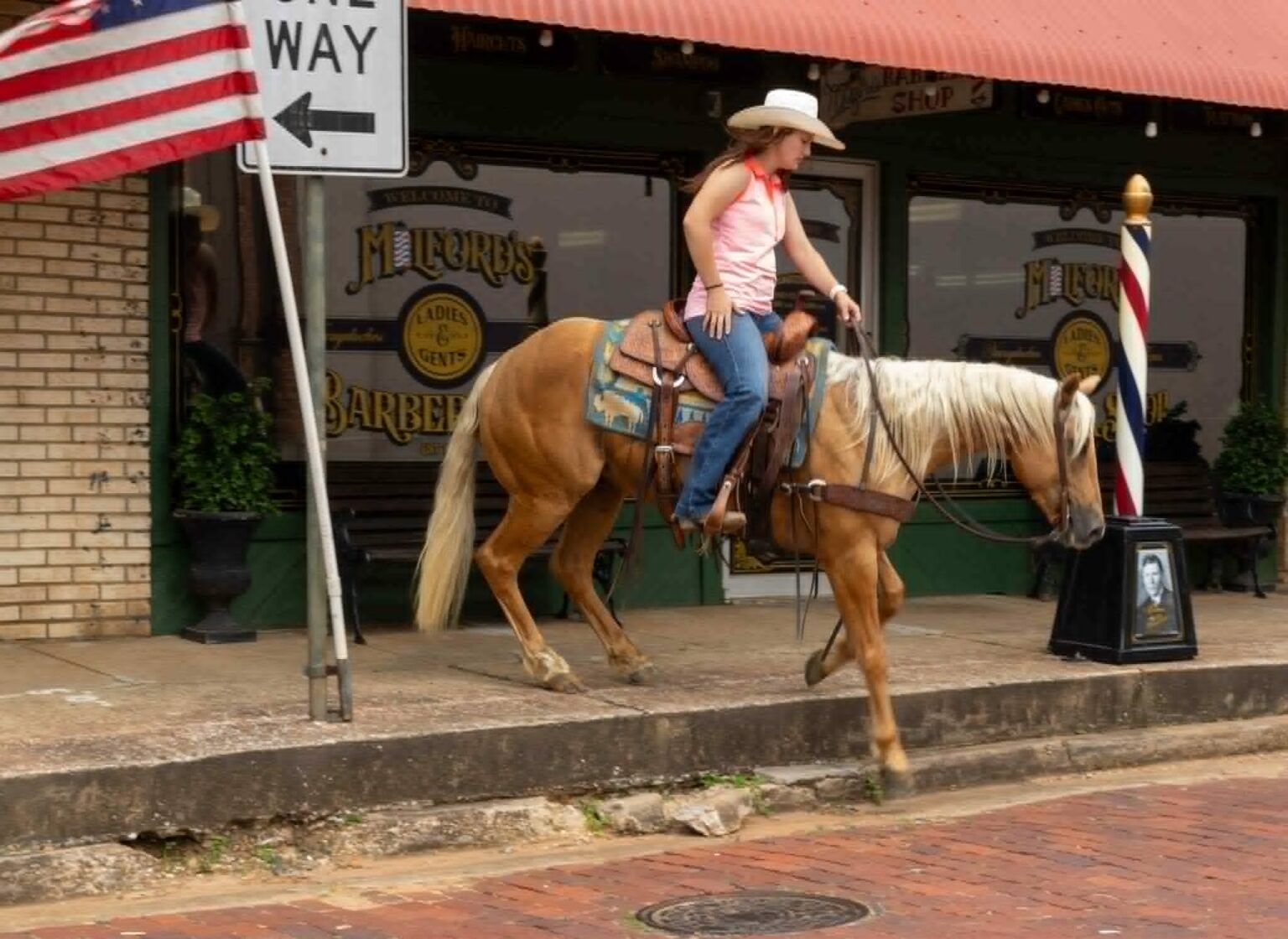 ASM Moon Rocket - Platinum Equine Auction