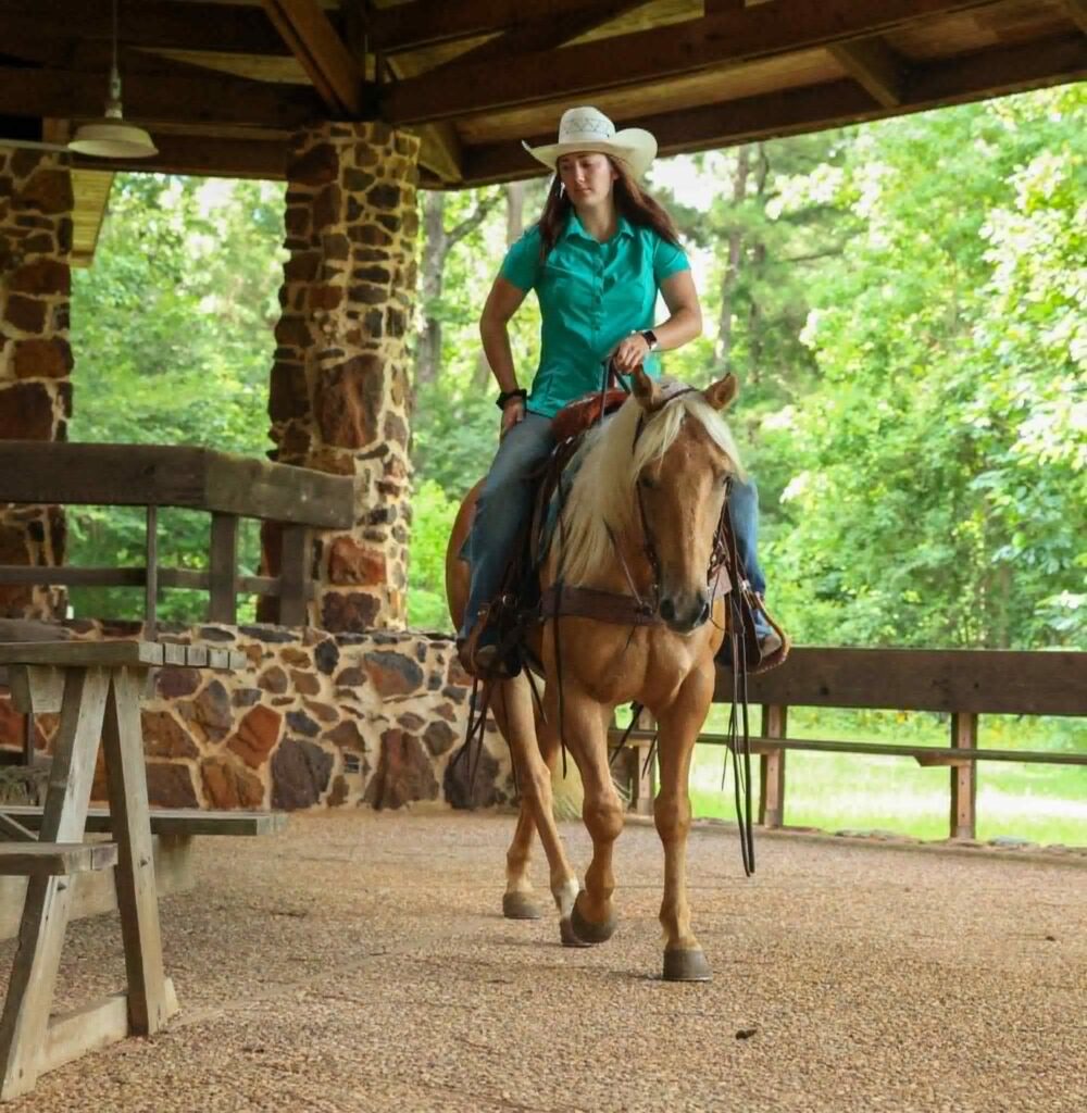 ASM Moon Rocket - Platinum Equine Auction