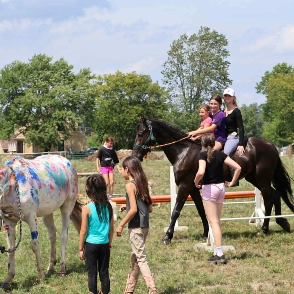 Emerald - Platinum Equine Auction