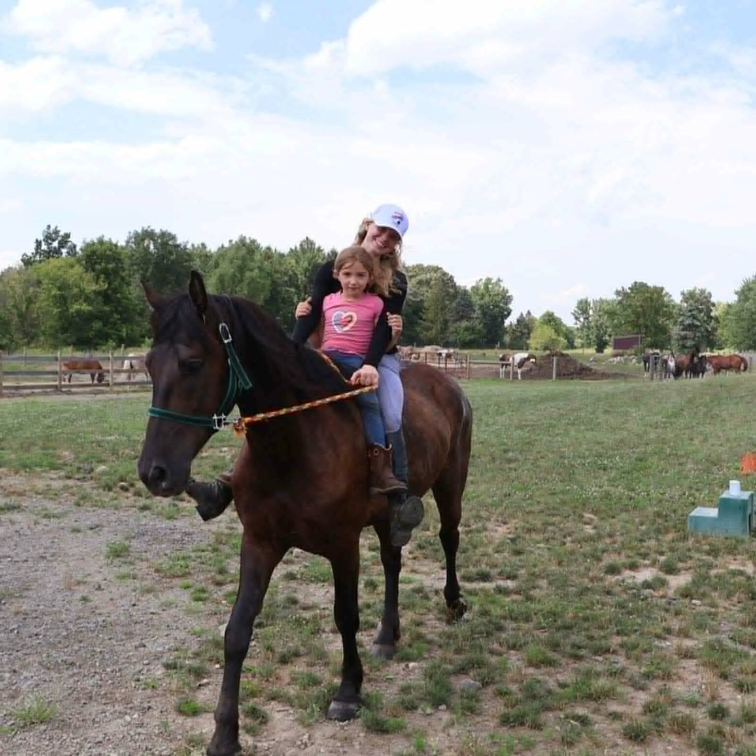 Emerald - Platinum Equine Auction