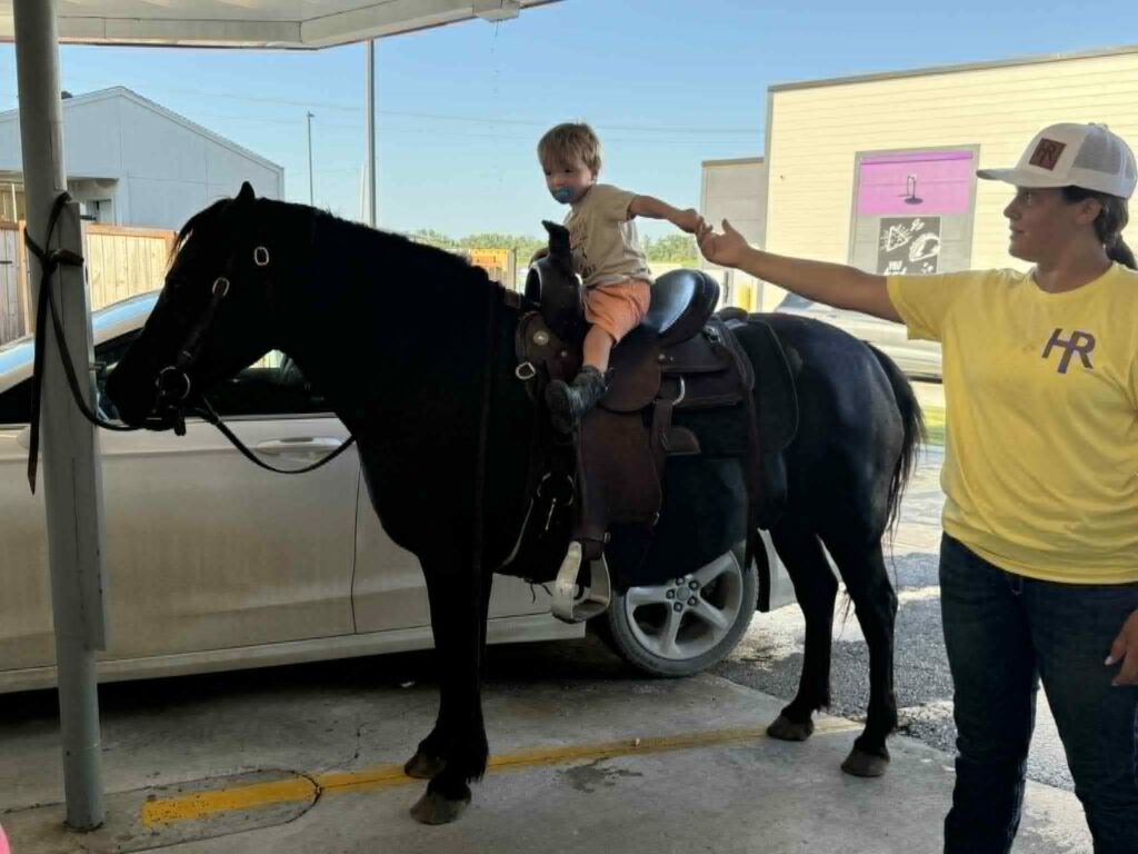 Fiona - Platinum Equine Auction