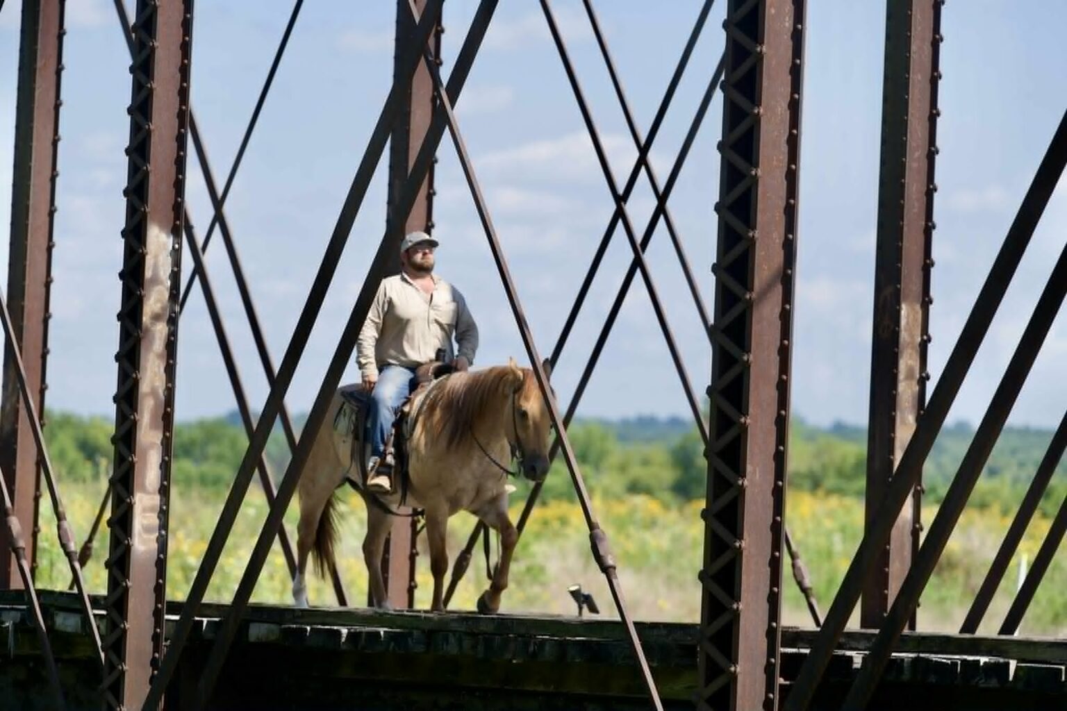 Ralph. - Platinum Equine Auction