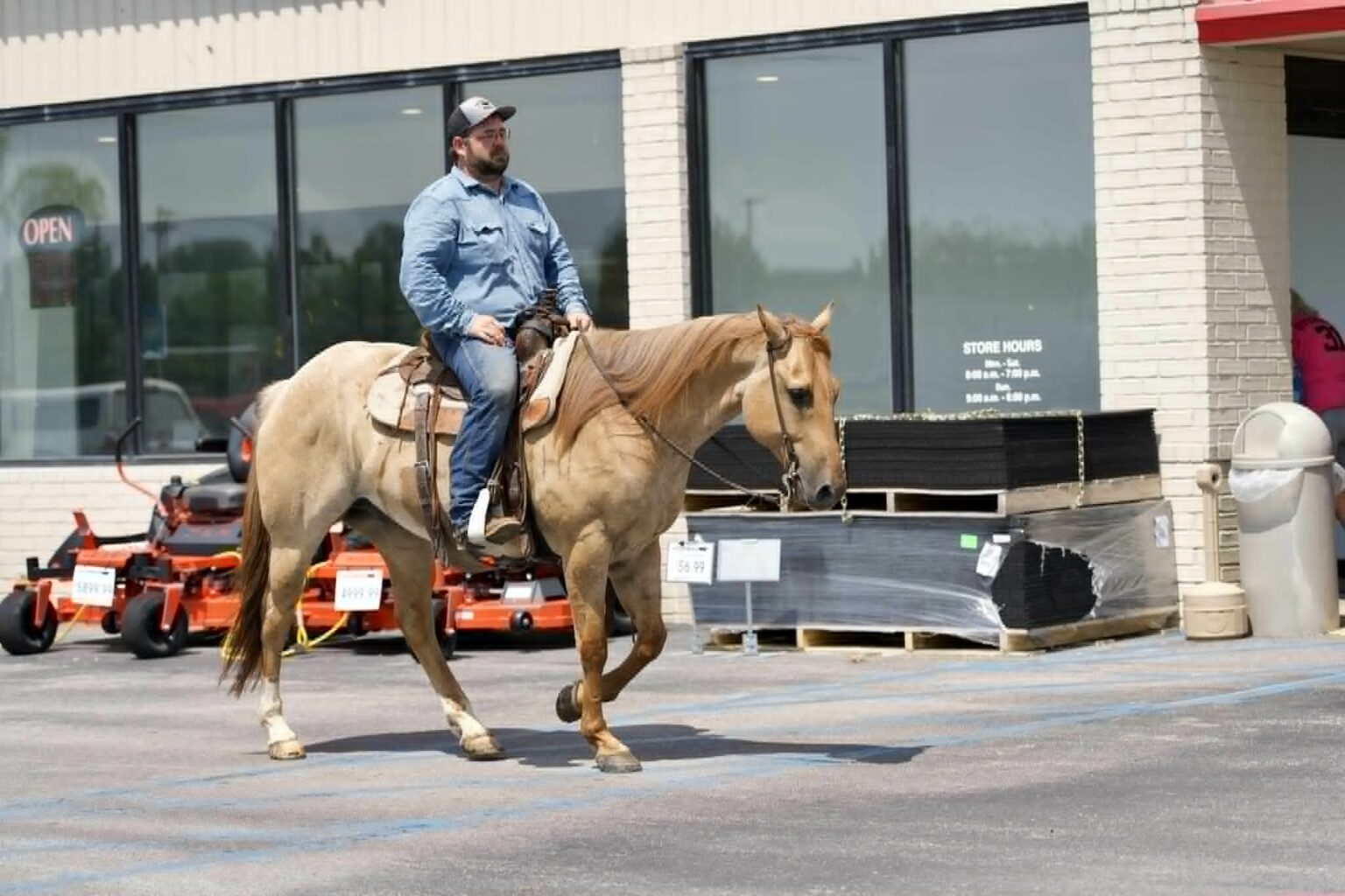 Ralph. - Platinum Equine Auction