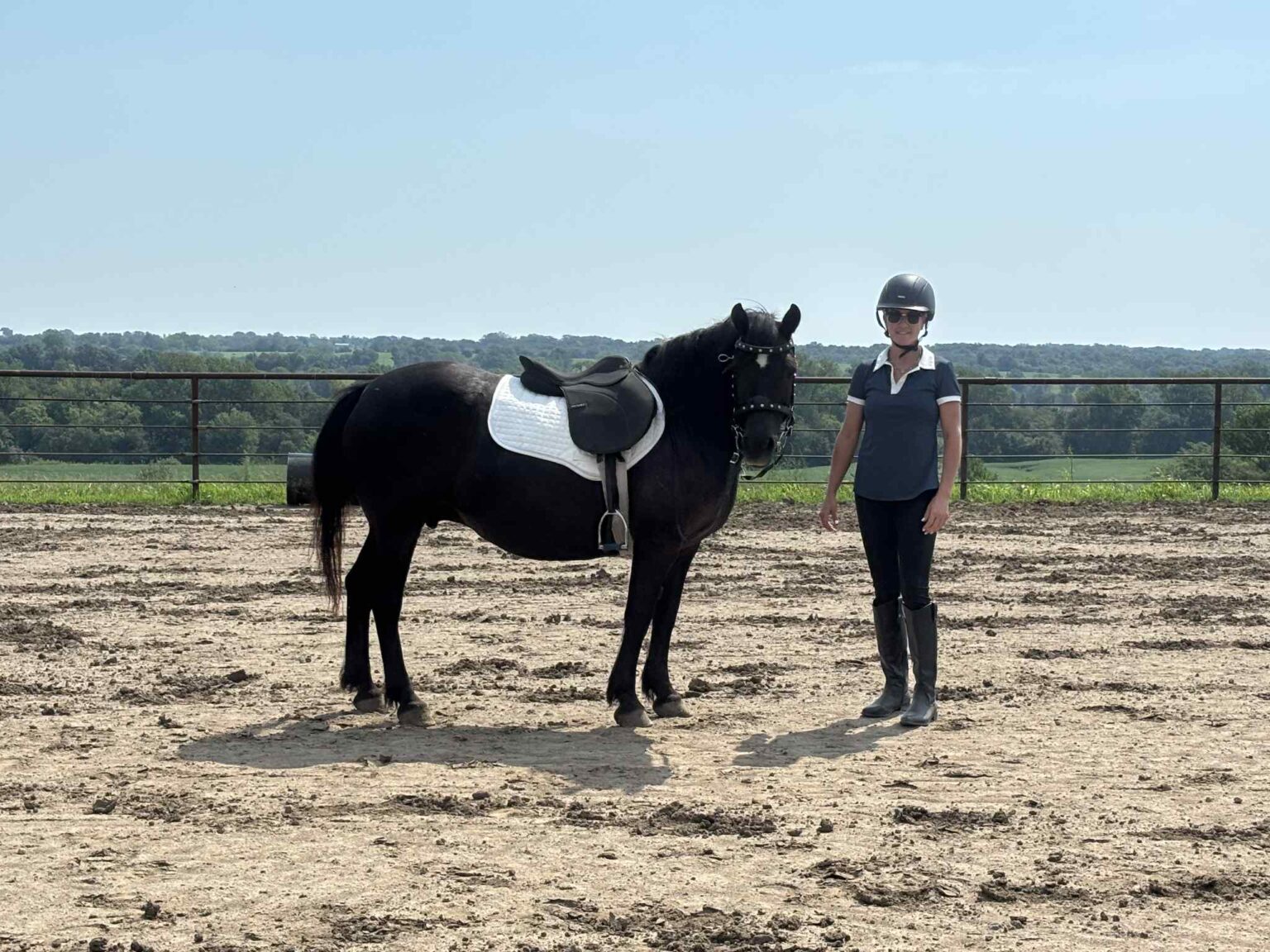 Fiona - Platinum Equine Auction