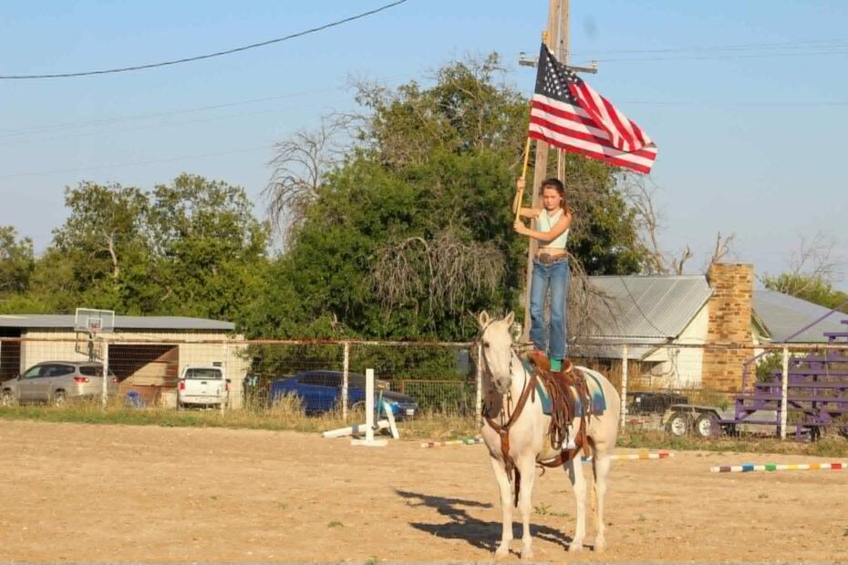 Biscuit - Platinum Equine Auction