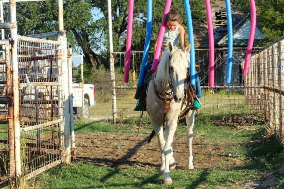 Biscuit - Platinum Equine Auction