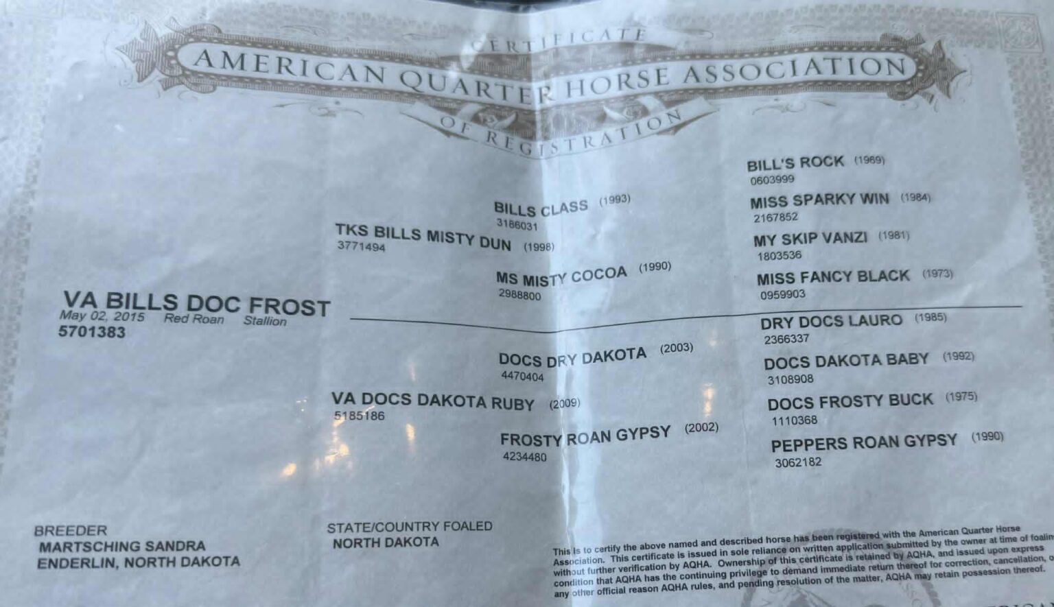 AVA Bills Doc Frost. - Platinum Equine Auction