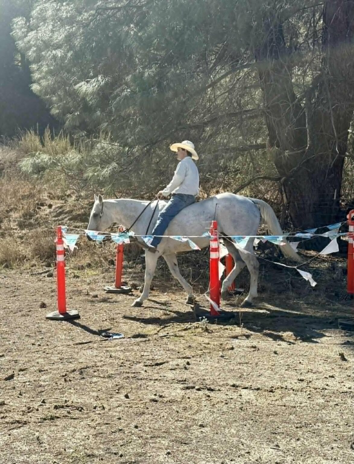 Amarillo Playgun - Platinum Equine Auction