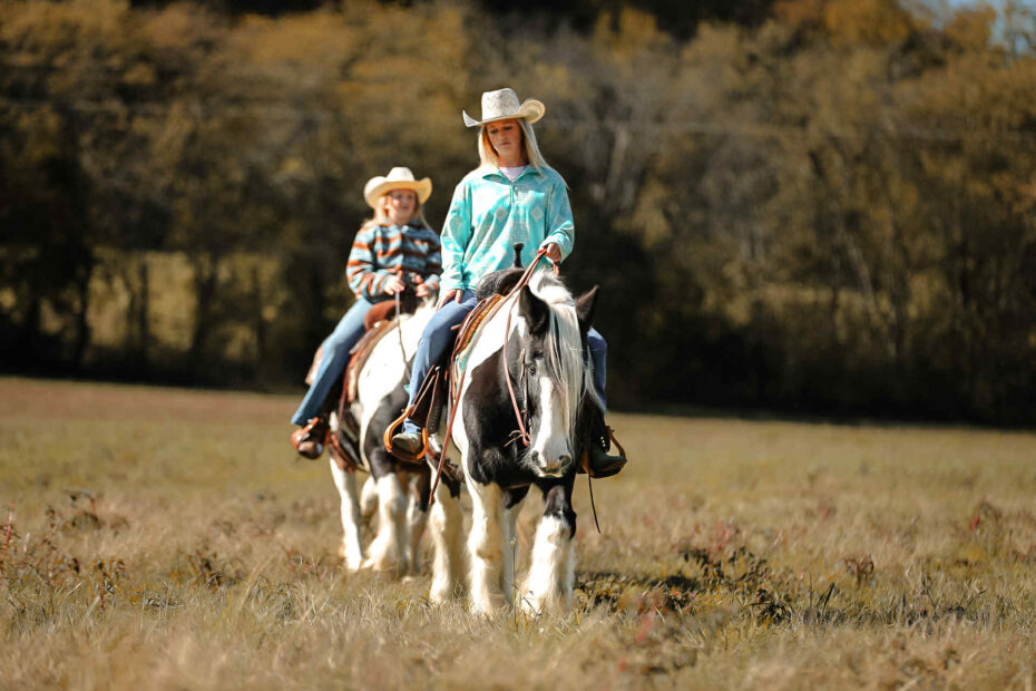 Thelma - Platinum Equine Auction