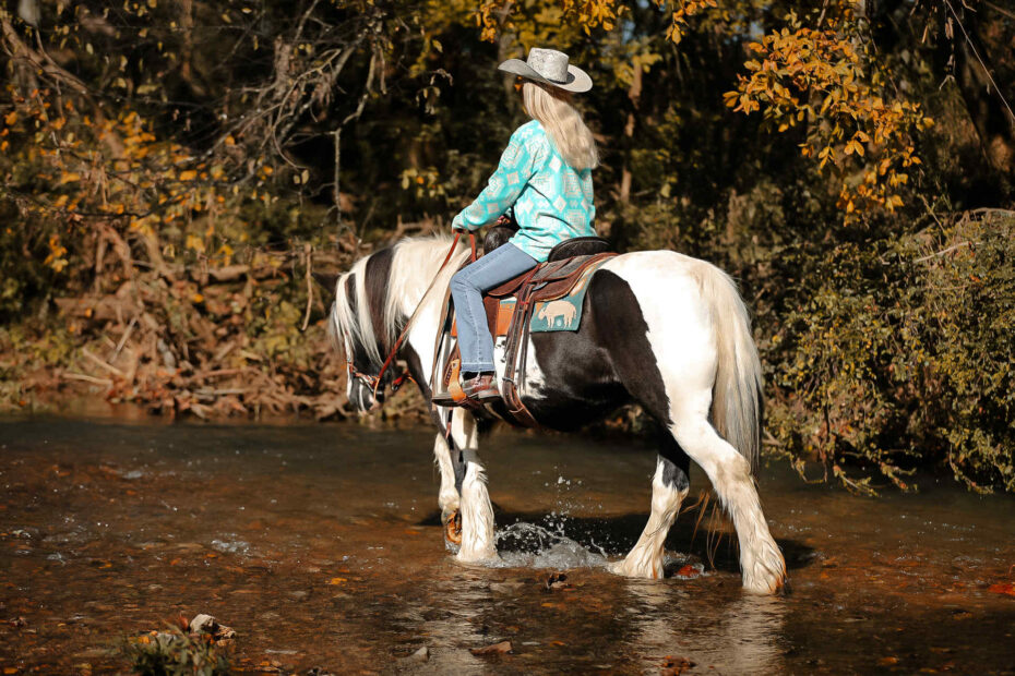 Thelma - Platinum Equine Auction