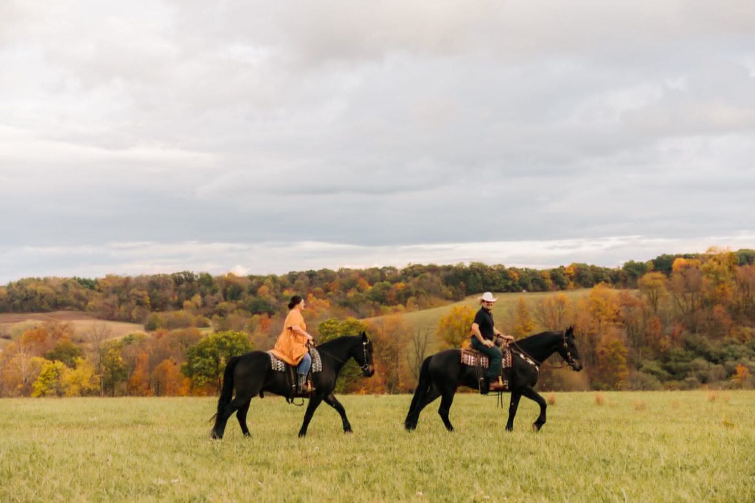 Jet - Platinum Equine Auction