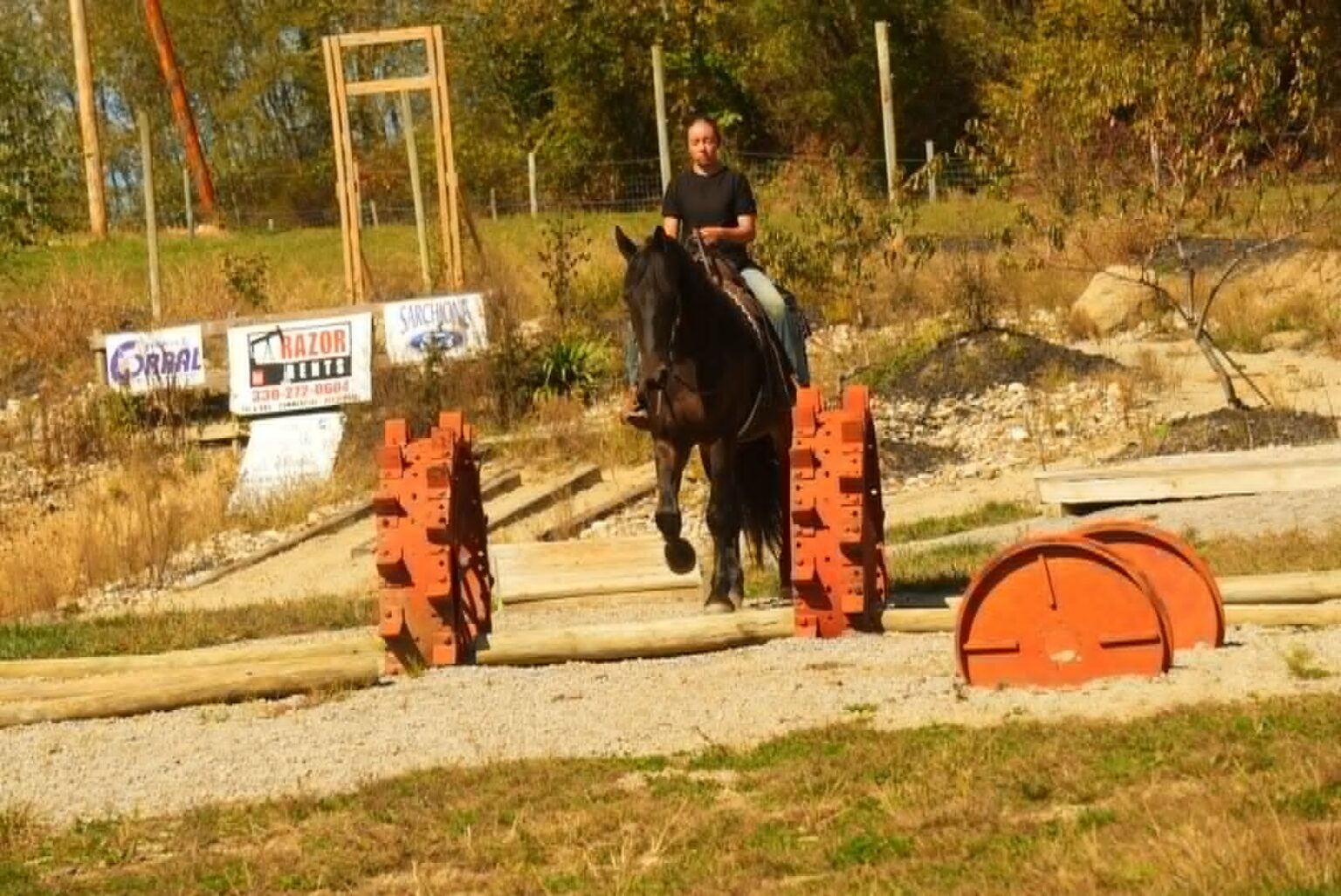 Jet - Platinum Equine Auction