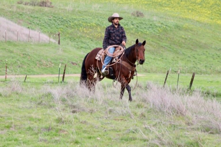 JUST CALL ME DELIGHT - Platinum Equine Auction